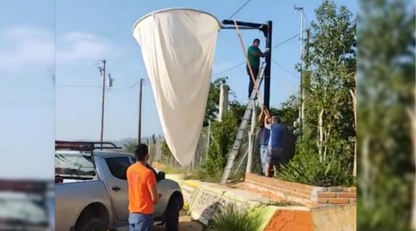 La talega de café más grande de B.C.S. está en La Garita del Chilpa ...